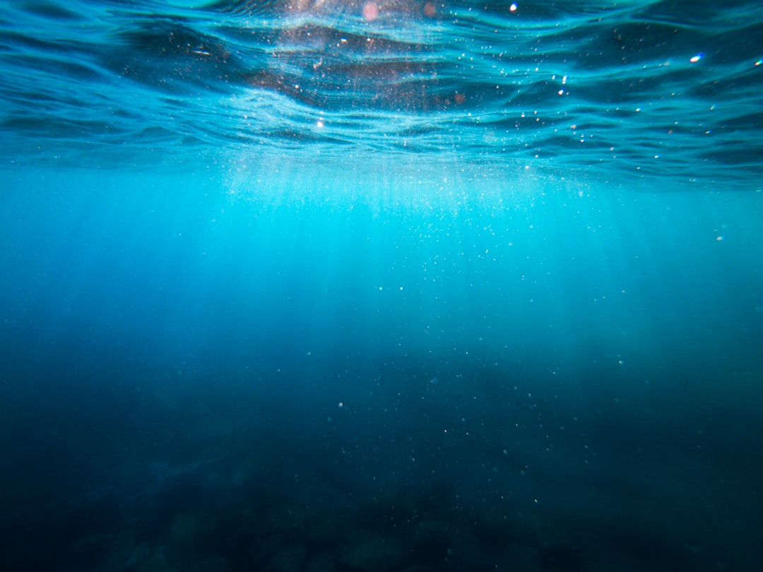 The Bimini Road: 7 Fascinating Insights into Atlantis and Its Mysteries ...